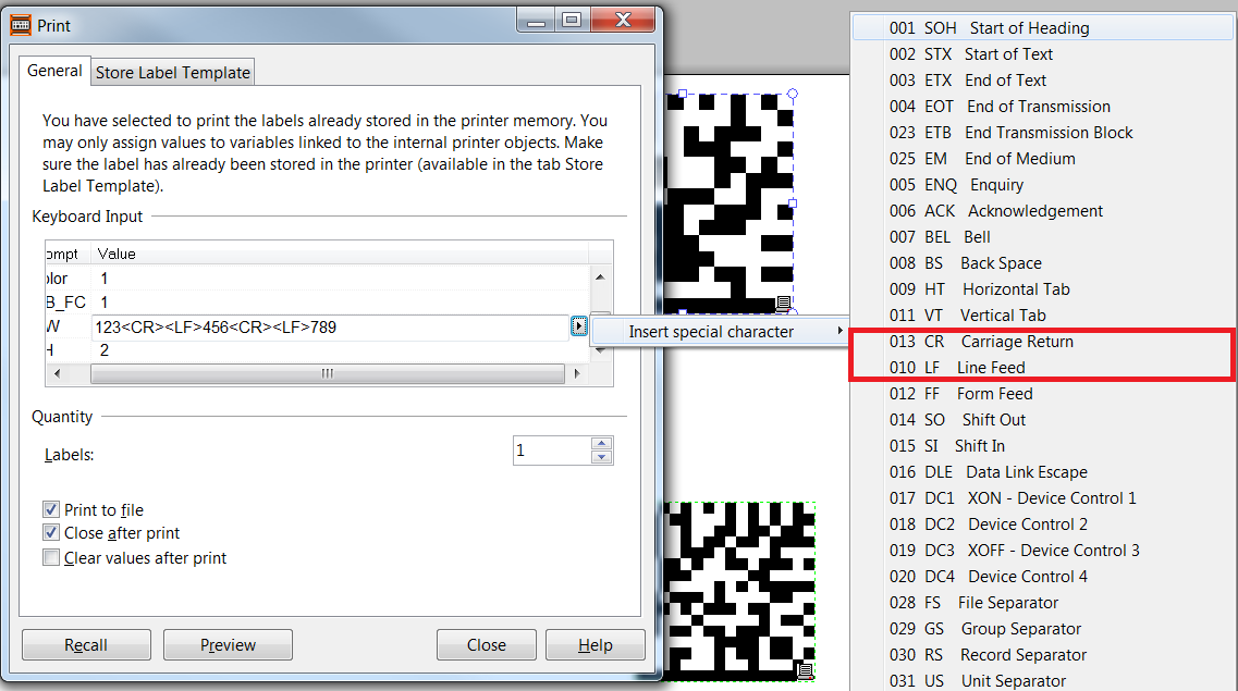 Input Special Mark in ZebraDesigner Pro Keyboard Input Data Field