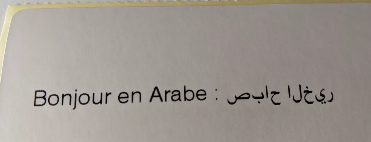 Printing International Characters in the Unicode Standard