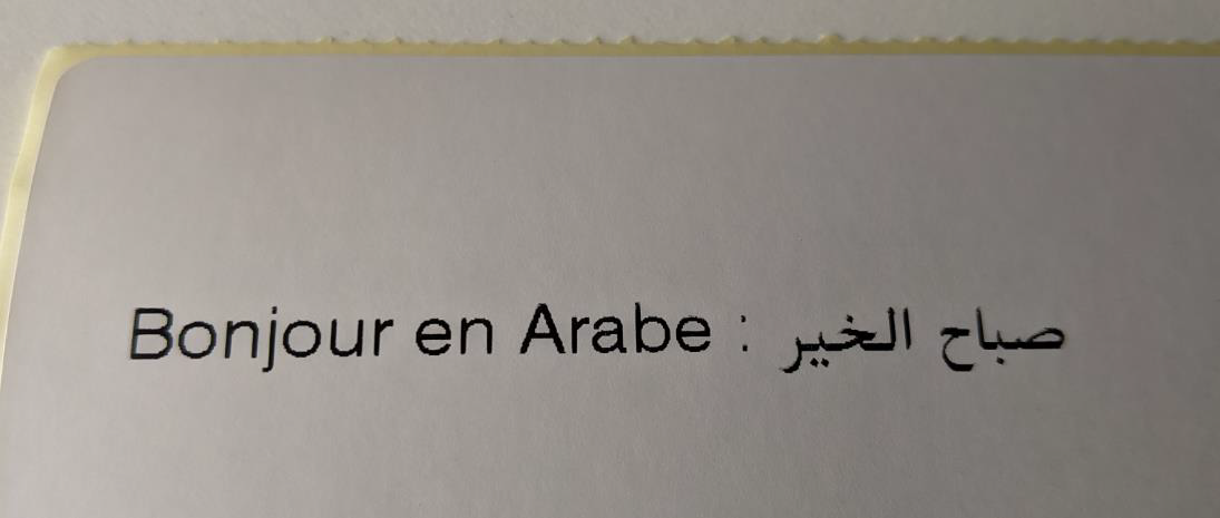 Printing International Characters in the Unicode Standard